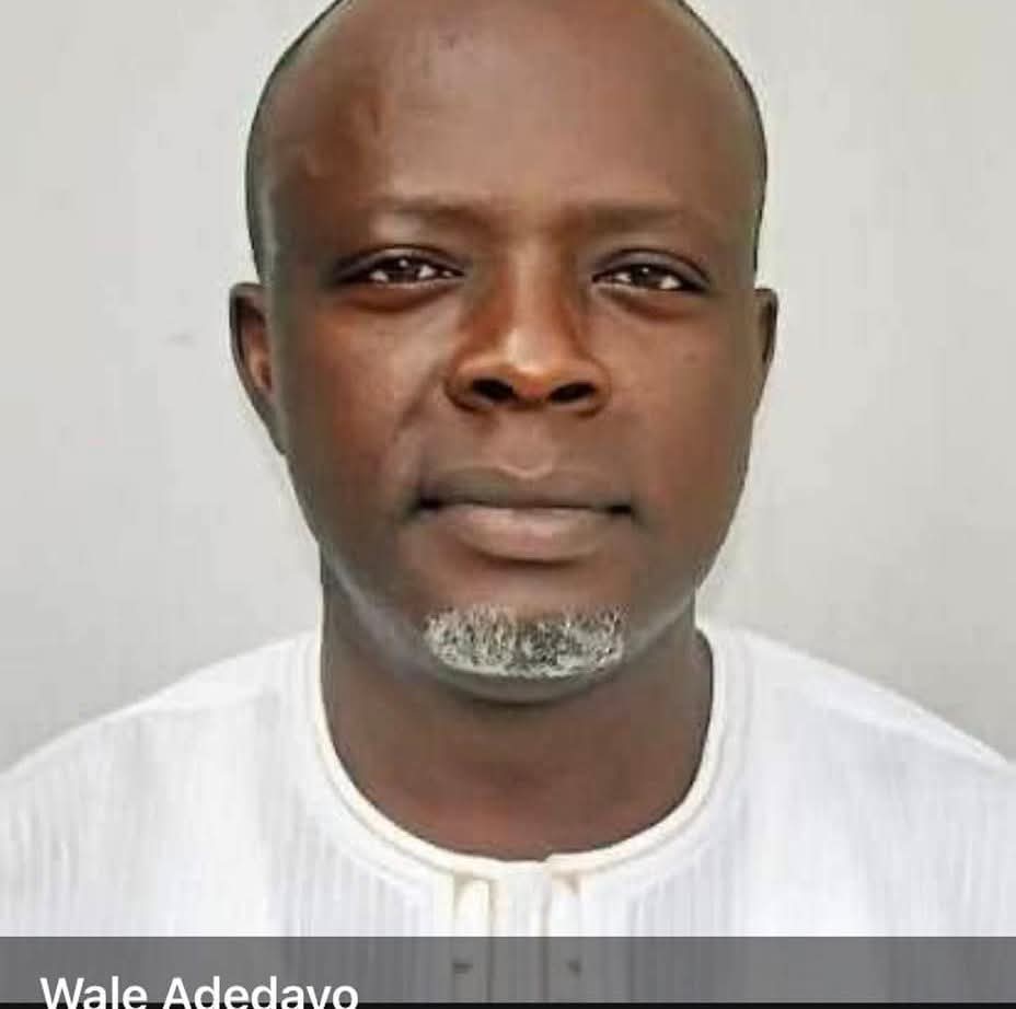 Wale Adedayo: Revisiting performance of local governments in Nigeria ...